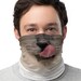 Himalayan Cat Face Mask, Neck Gaiter, Washable and Reusable Face ...