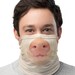 Pig Face Mask, Funny Neck Gaiter, Cute Animal Costume, Washable and ...