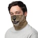 Lioness Face Mask, Neck Gaiter, Washable and Reusable Face Covering for ...