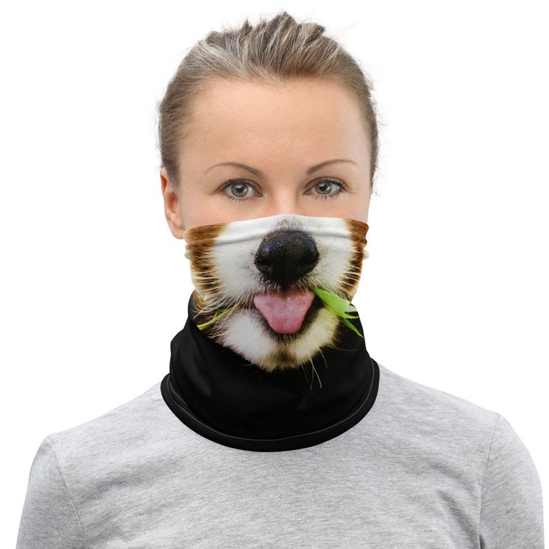Red Panda Face Mask, Neck Gaiter for Adults, Washable and Reusable Face ...