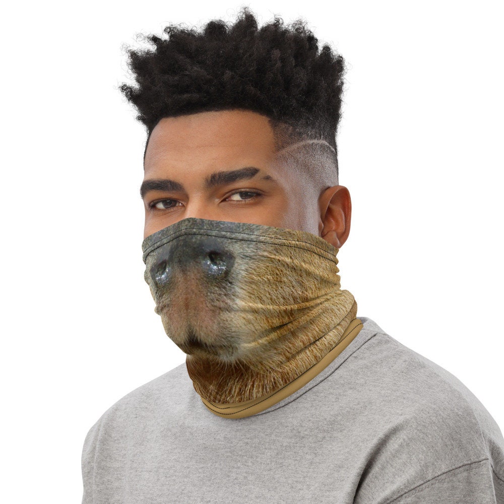 Capybara Face Mask Unisex Neck Gaiter Washable Face - Etsy