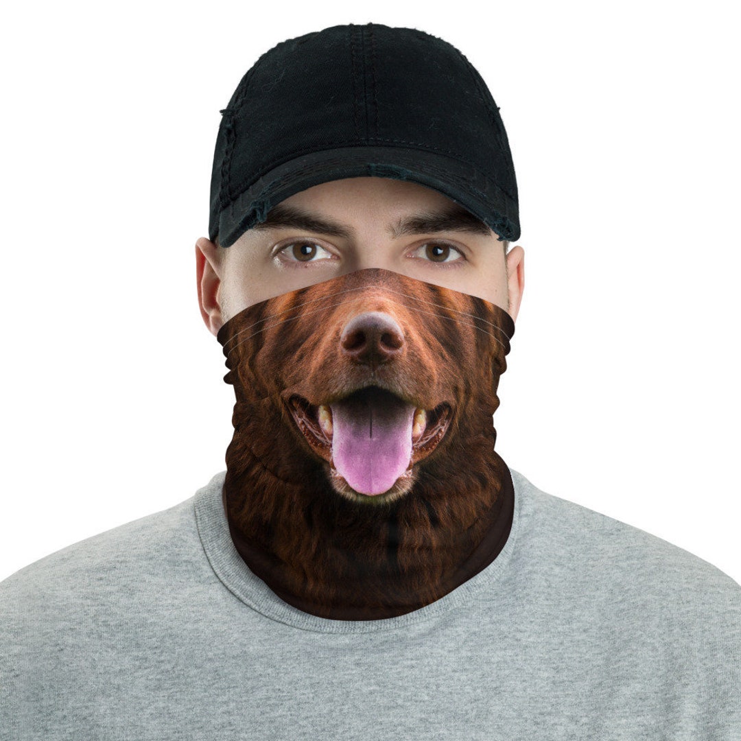 Brown Labrador Retriever Neck Gaiter & Face Mask, Dog Costume, Multi ...