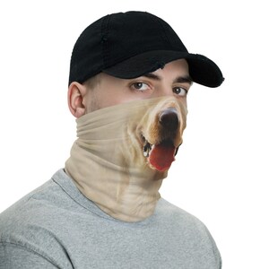 Labrador Retriever Face Mask & Neck Gaiter, Dog Costume, Washable ...