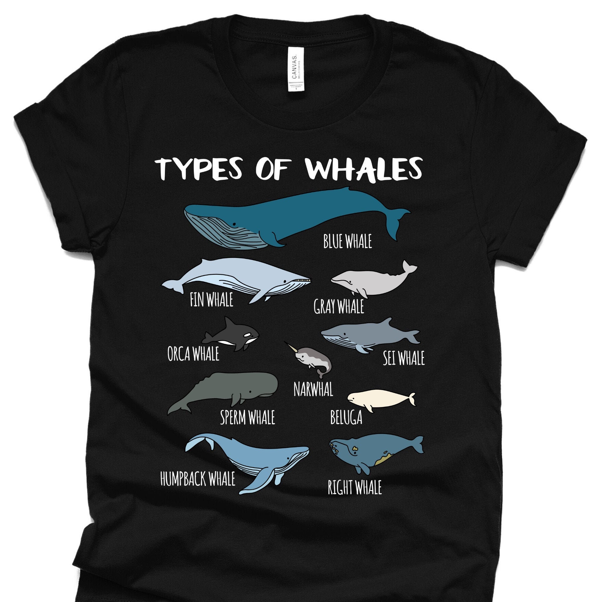 Types of Whales Tshirt, Blue Whale, Fin Whale, Narwhal, Beluga, Orca ...