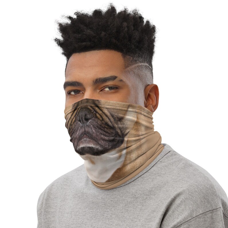 French Bulldog Face Mask & Neck Gaiter, Frenchie Dog Washable Reusable ...