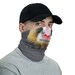 Mandrill Face Mask, Baboon Neck Gaiter, Face Cover, Bandanna, Tube ...