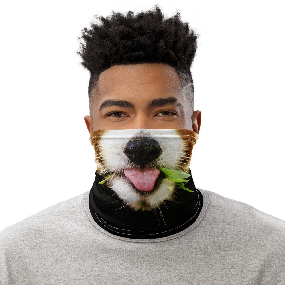 Red Panda Face Mask, Neck Gaiter for Adults, Washable and Reusable Face ...