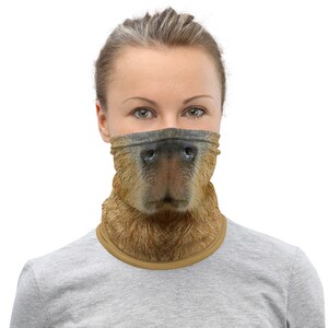 Capybara Face Mask, Unisex Neck Gaiter, Washable Face Covering, Cavy ...