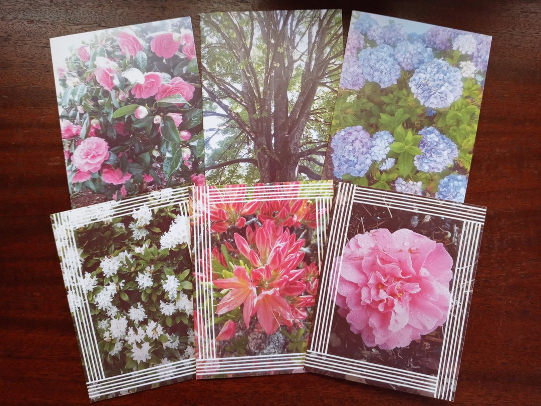 Nature Photo Note Cards - Set of 6 - Etsy