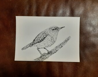 Buttercup Flower Buttercup Sketch Pen and Ink Original - Etsy