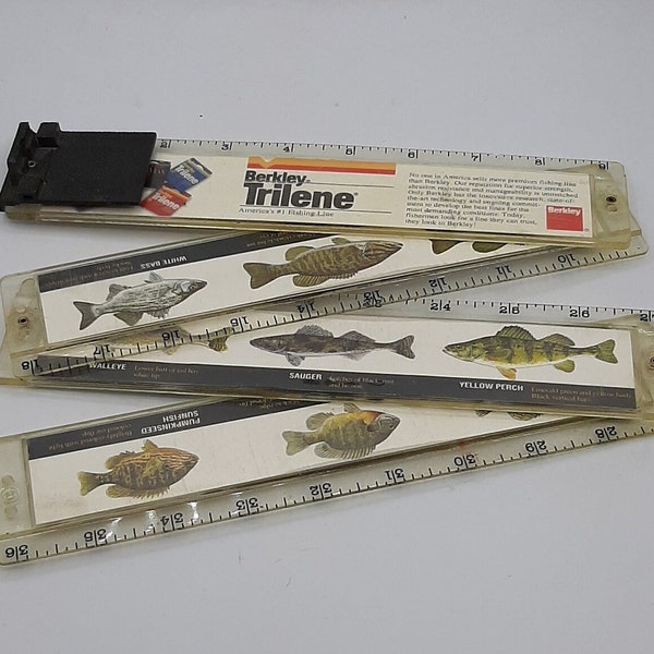 Fish Ruler Svg - Etsy