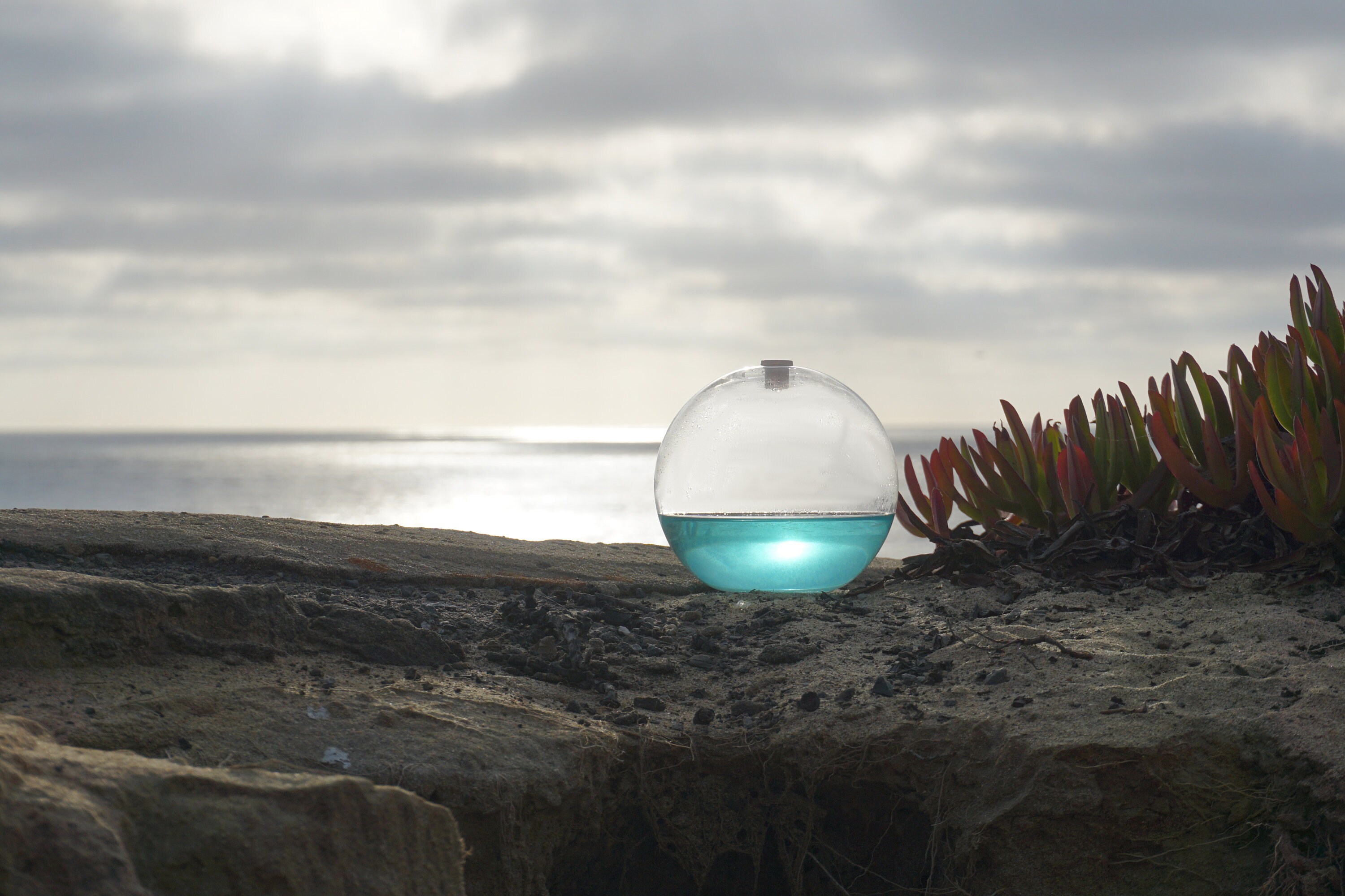 Blue Boost Dinonutrients 3-pack for Growing Pyrodinos All - Etsy