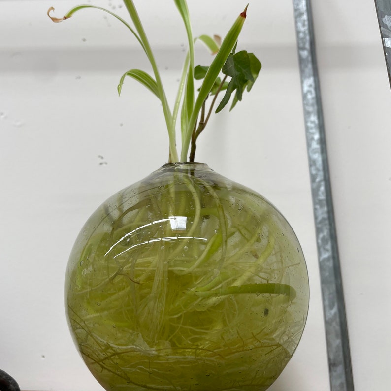 Bio-orb Glass Sphere Only 10cm and 15cm Sizes - Etsy