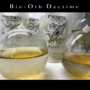 Bioluminescent Bio-orb Gift Option - Etsy