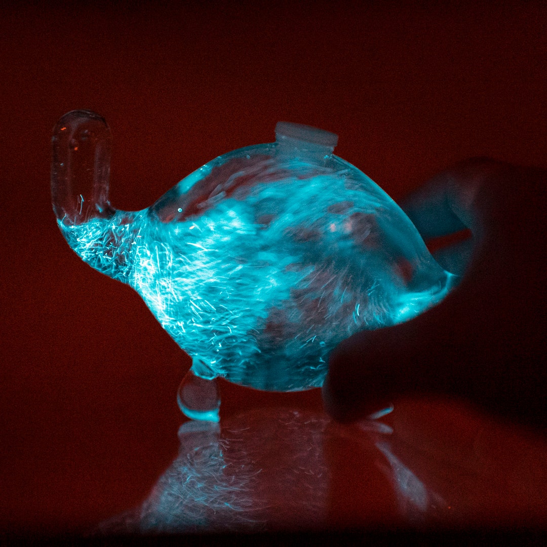 Bioluminescent Turtle: Hand-blown Glass With Pyrodinos - Etsy