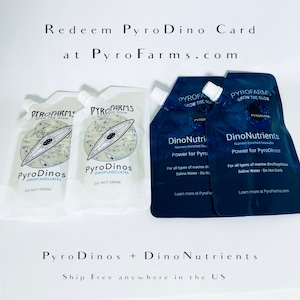 Large Bioluminescent Bio-orb Gift Option - Etsy