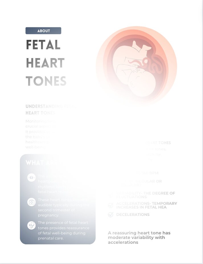 Comprehensive Guide to Obstetric Nursing 75 Pages - Etsy