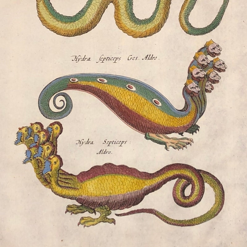 Antique Serpent - Etsy