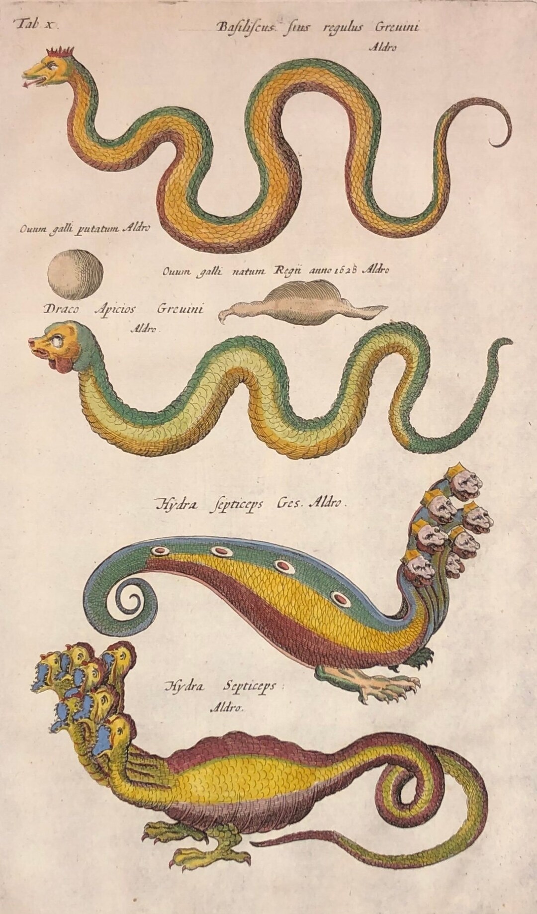 17th Century (ca 1657) Hand-tinted Copper Engraving: "sea Monster Hydra ...
