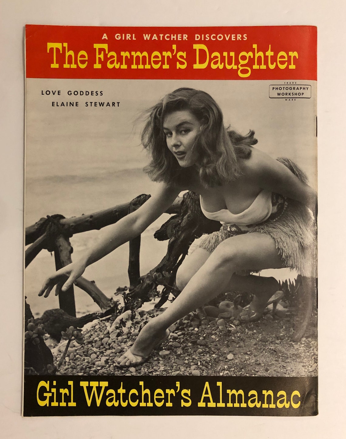 Mature Vintage Pin Up Magazine Girl Watcher Vol Etsy