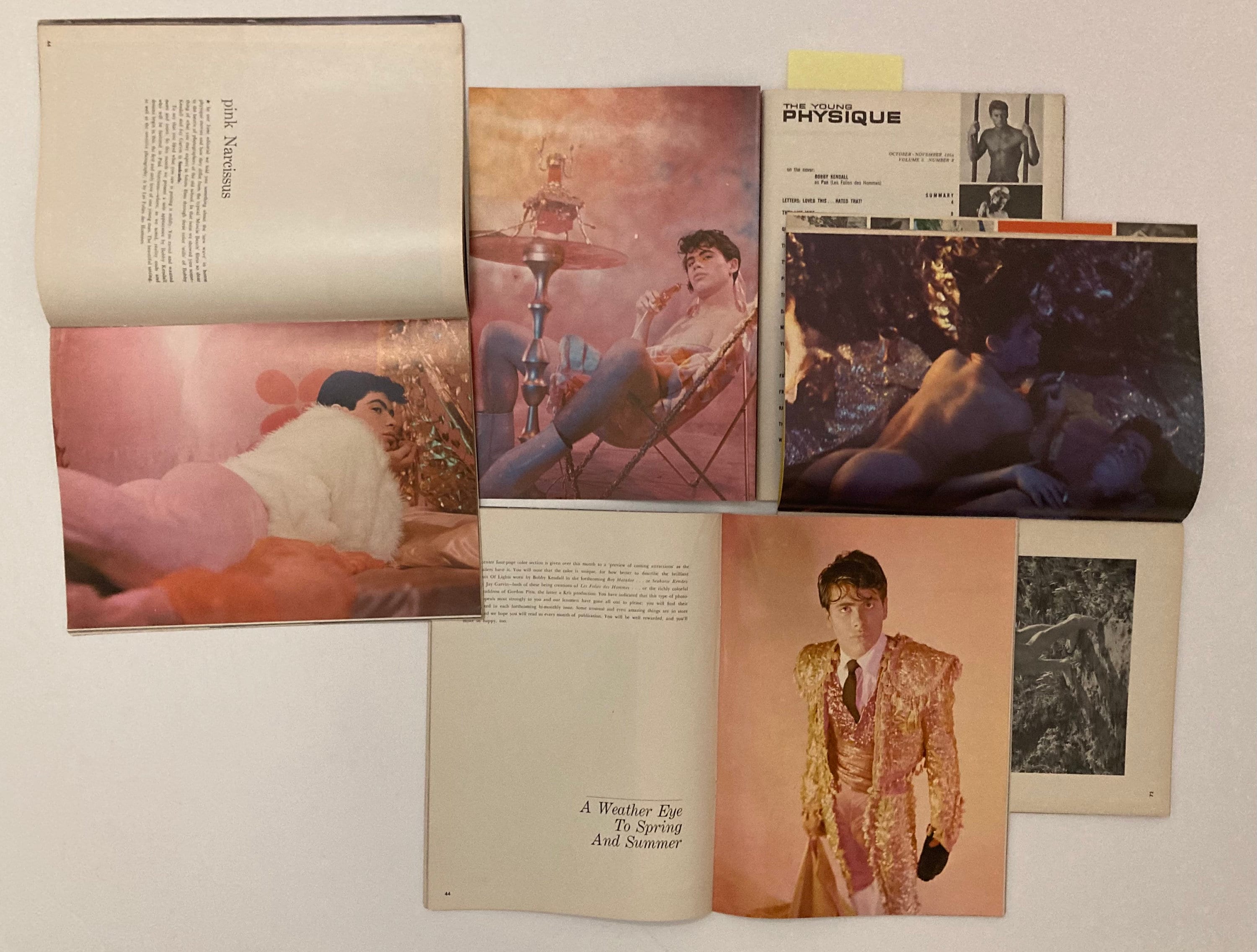 JAMES BIDGOOD Collection Autographed Bidgood Biography 1st - Etsy