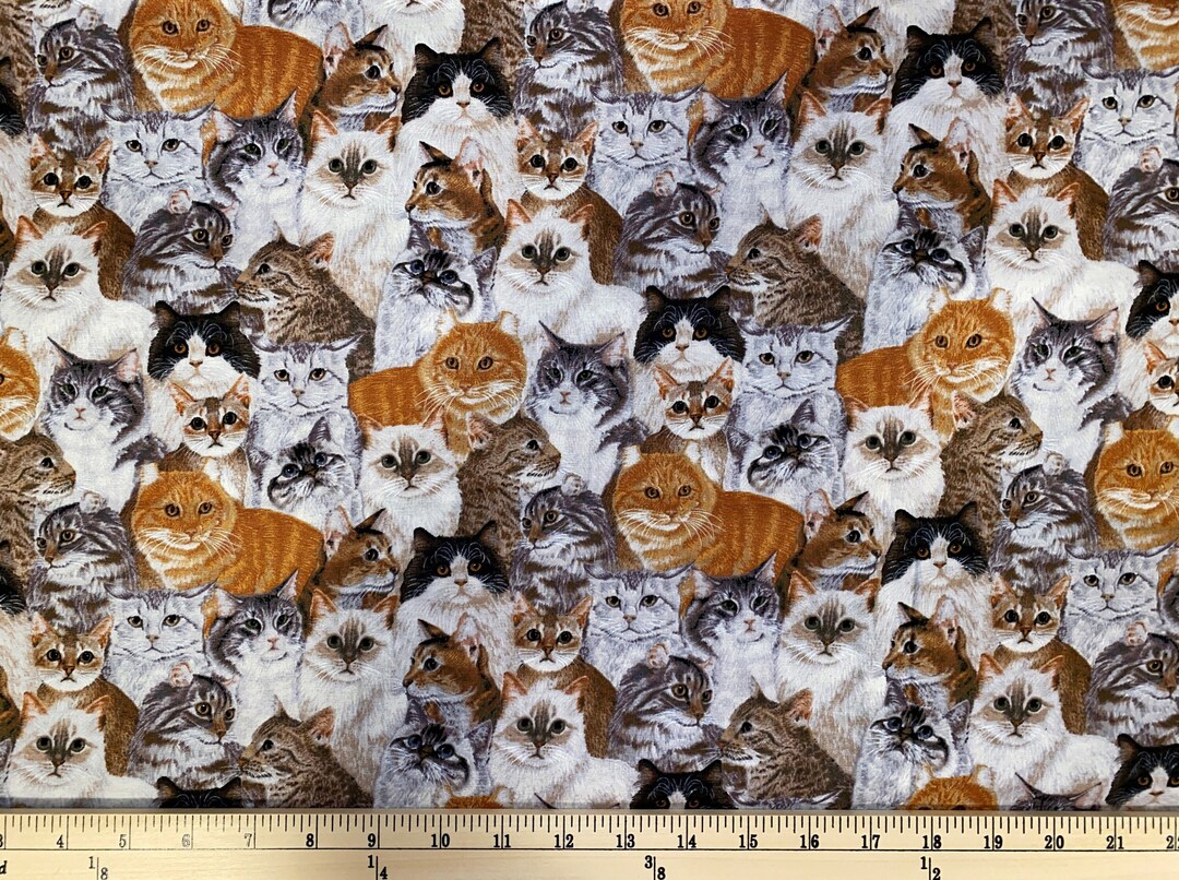 Cat Fabric (3 Choices) Pet Animal Cotton Quilting Crafting Sewing ...