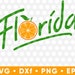 Florida Orange SVG Cut Files Cricut Files Cute T-shirt Clipart ...