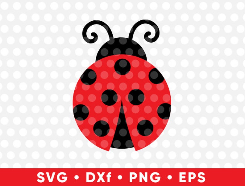 Ladybug Beetle Svg Cut File T Shirt Digital Download Clipart - Etsy