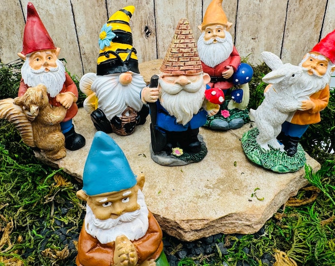 Rock Star Gnomes - Etsy