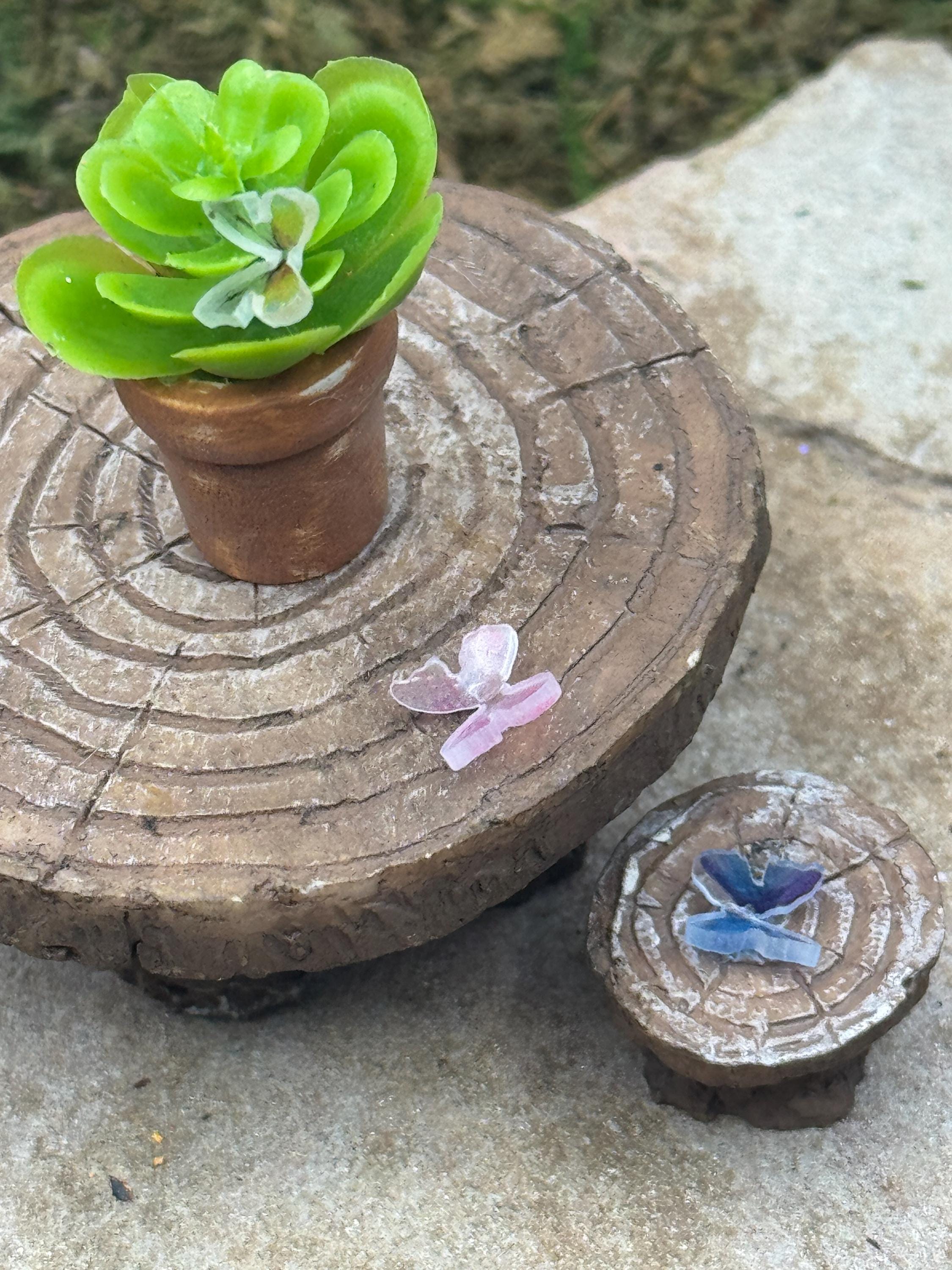 Fairy Garden Mini Koi Fish Pond Terrarium Gnome Garden Diorama Aquarium ...