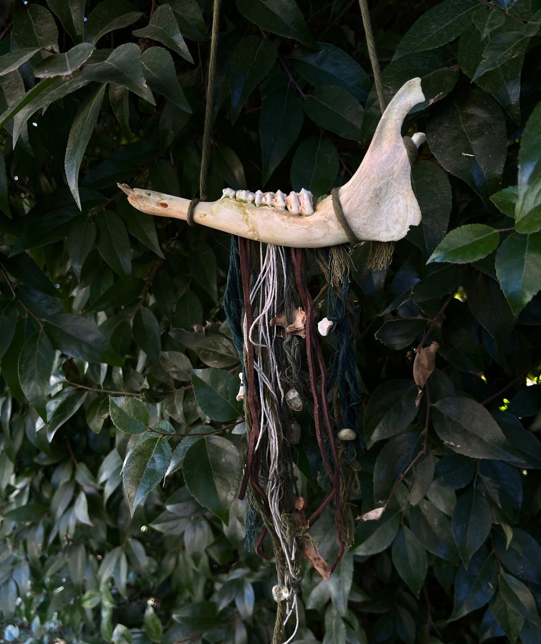 Deer Jaw Ritual Piece - Etsy
