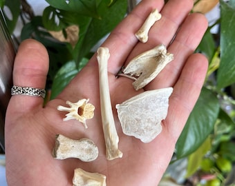 Pocket Osteomancy: A Simple Bone Divination Set Casting Cloth and Bones ...