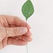 Small Single Leaf Leaves Green for Arts & Crafts 144-pack - Etsy
