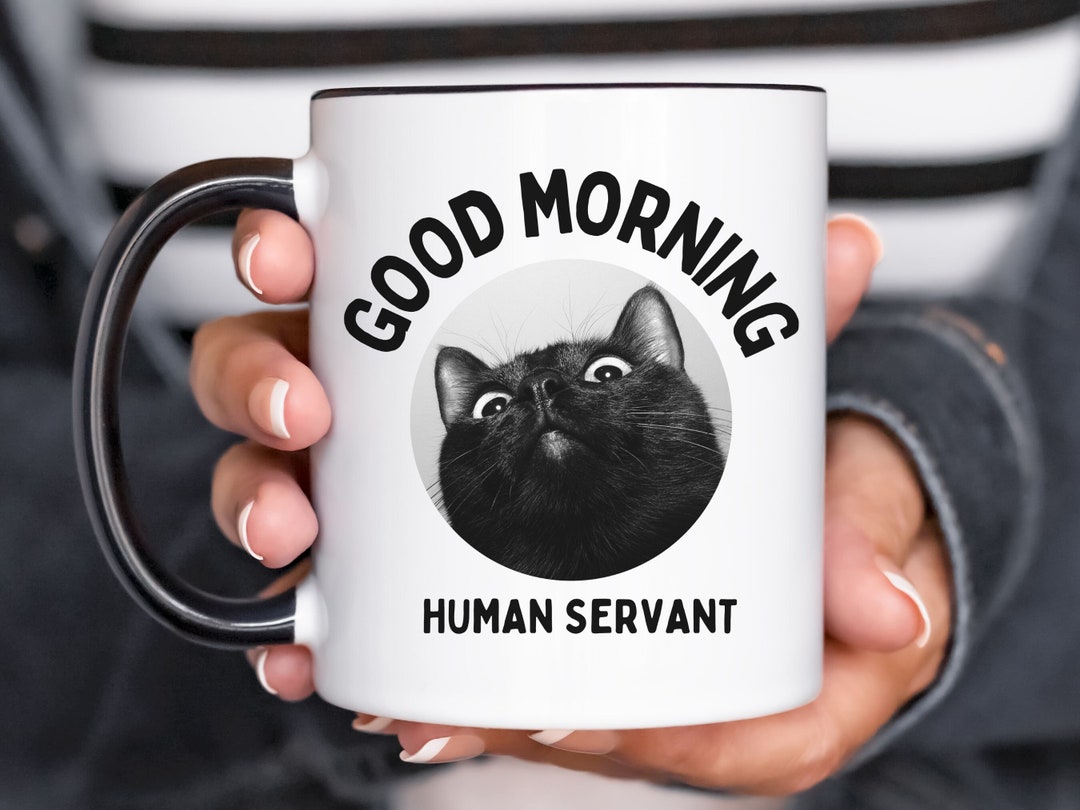 Funny Cat Coffee Mug, Good Morning Human Servant, Sarcasm Mug, Funny ...