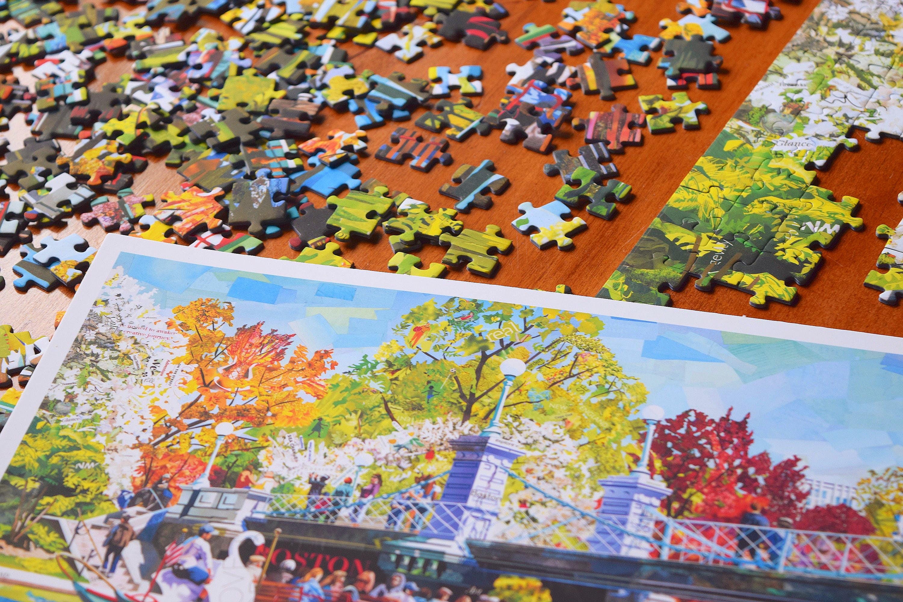 Day in the Garden; 1000-piece Velvet-touch Jigsaw Puzzle by Boston ...