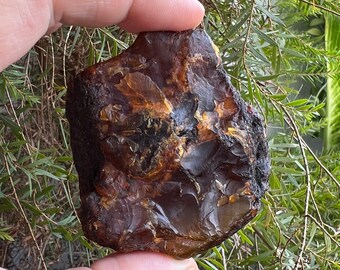 Baltic Sea Amber/ Raw Amber Nugget/ Untreated Unpolished Amber - Etsy