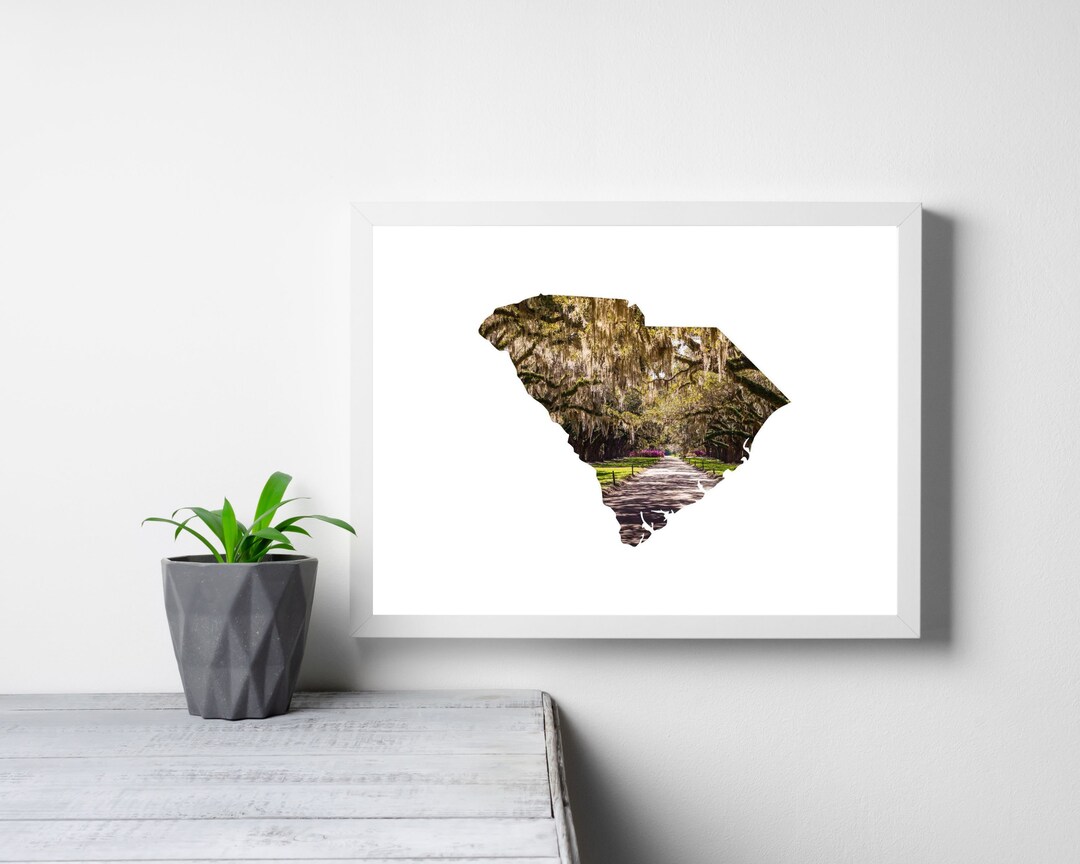 South Carolina Map Framed Wall Art, South Carolina Geological Map ...