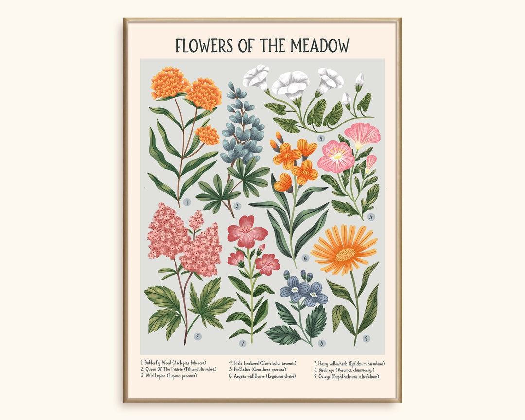 Flowers of the Meadow ~ Tint | Art Print | Floral Art Print | Home ...