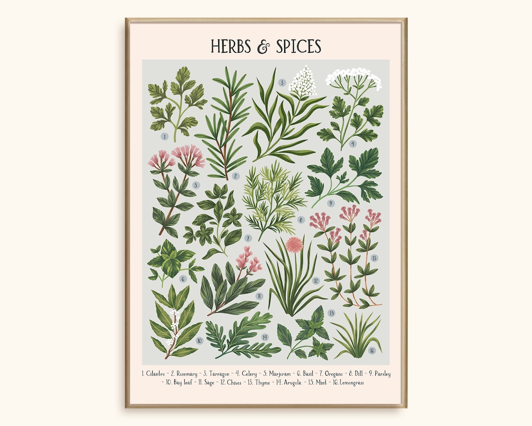 Botanical Herbs & Spices Art Print: Vintage-inspired Floral ...
