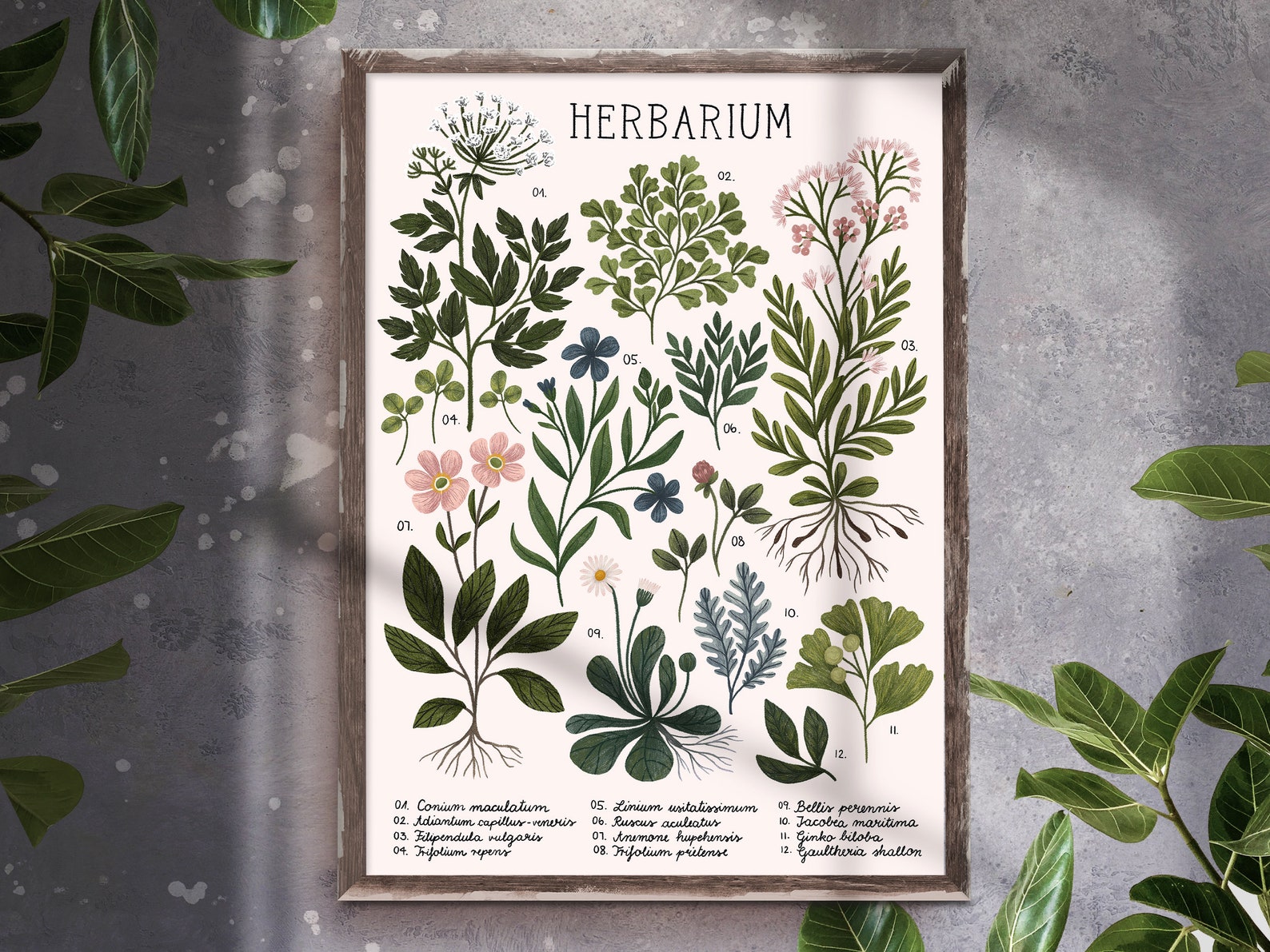 Herbarium Art Print Wall Art A4 Print Home Decoration | Etsy