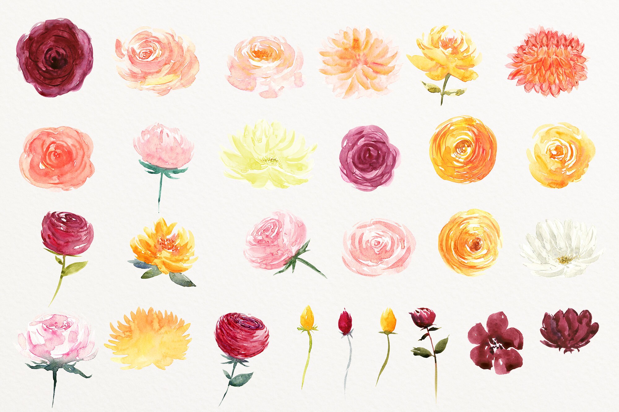 Watercolor Floral Clipart Bundle Watercolor Floral Frame - Etsy