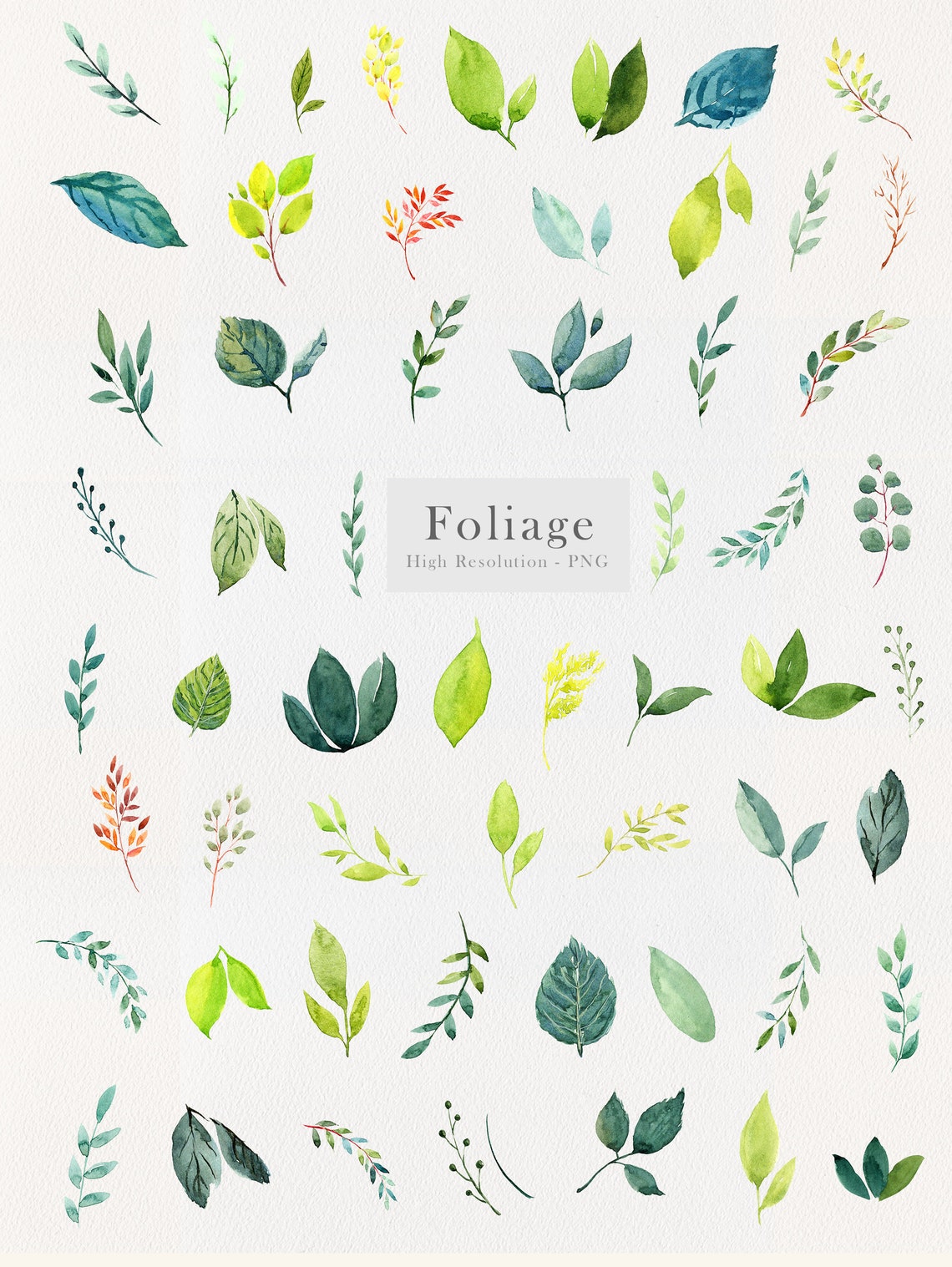 Watercolor Floral Clipart Bundle Watercolor Floral Frame - Etsy