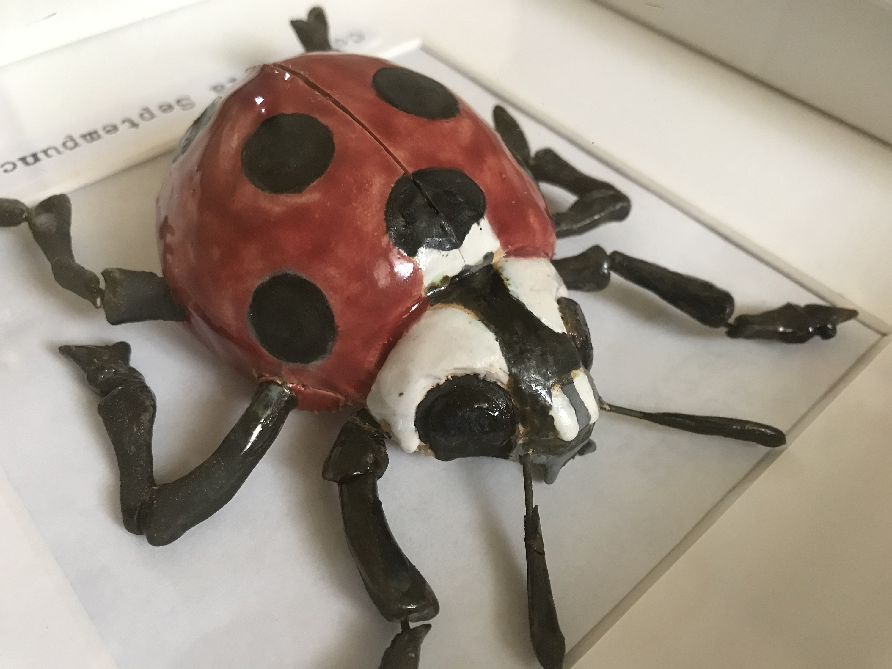 Giant Ladybird - Etsy