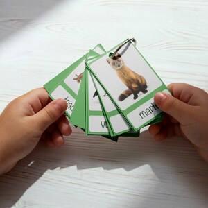 64 FOREST ANIMALS Kids Learning Flashcard Bundle Nomenclature Card - Etsy
