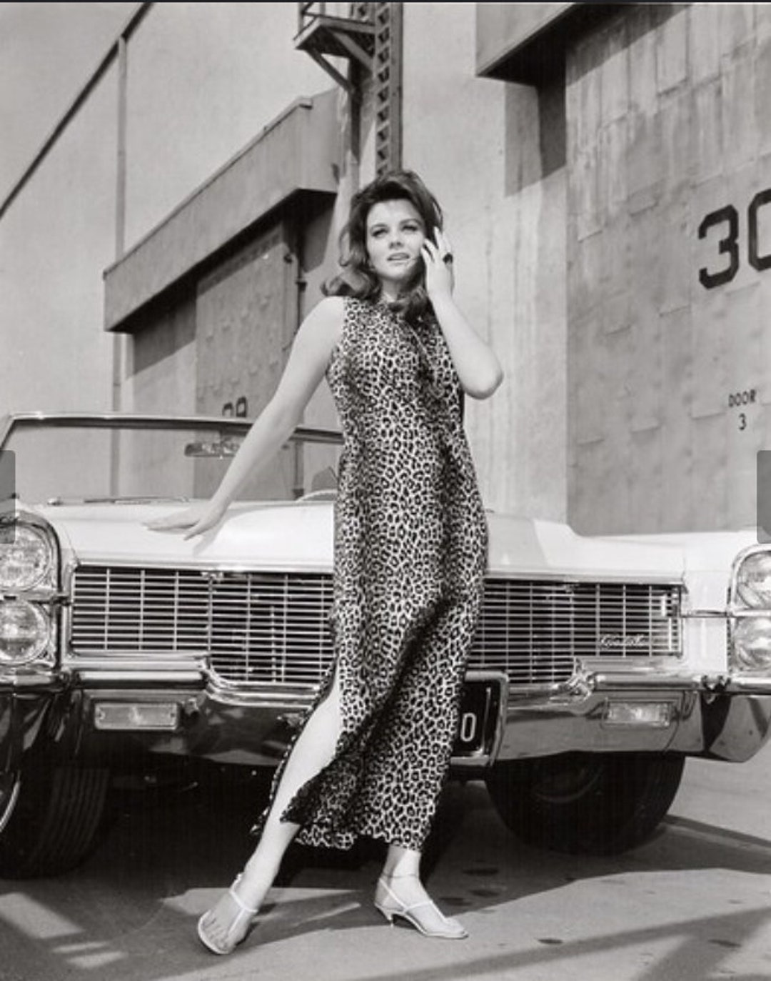 Ann Margaret Posing With Cadillac Etsy