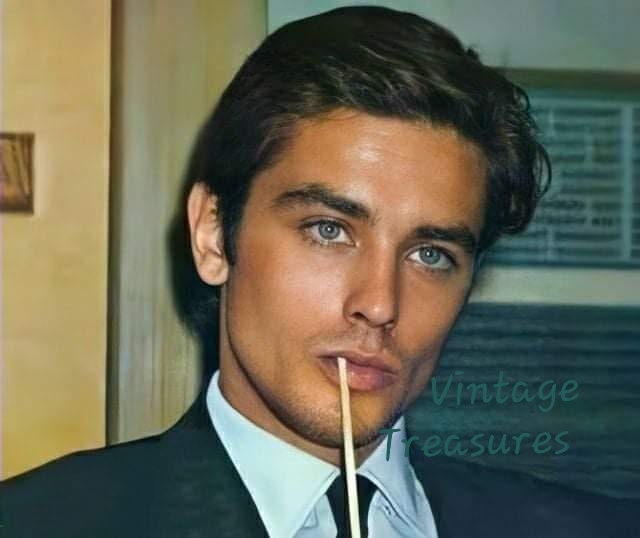 Irresistible Alain Delon - Etsy