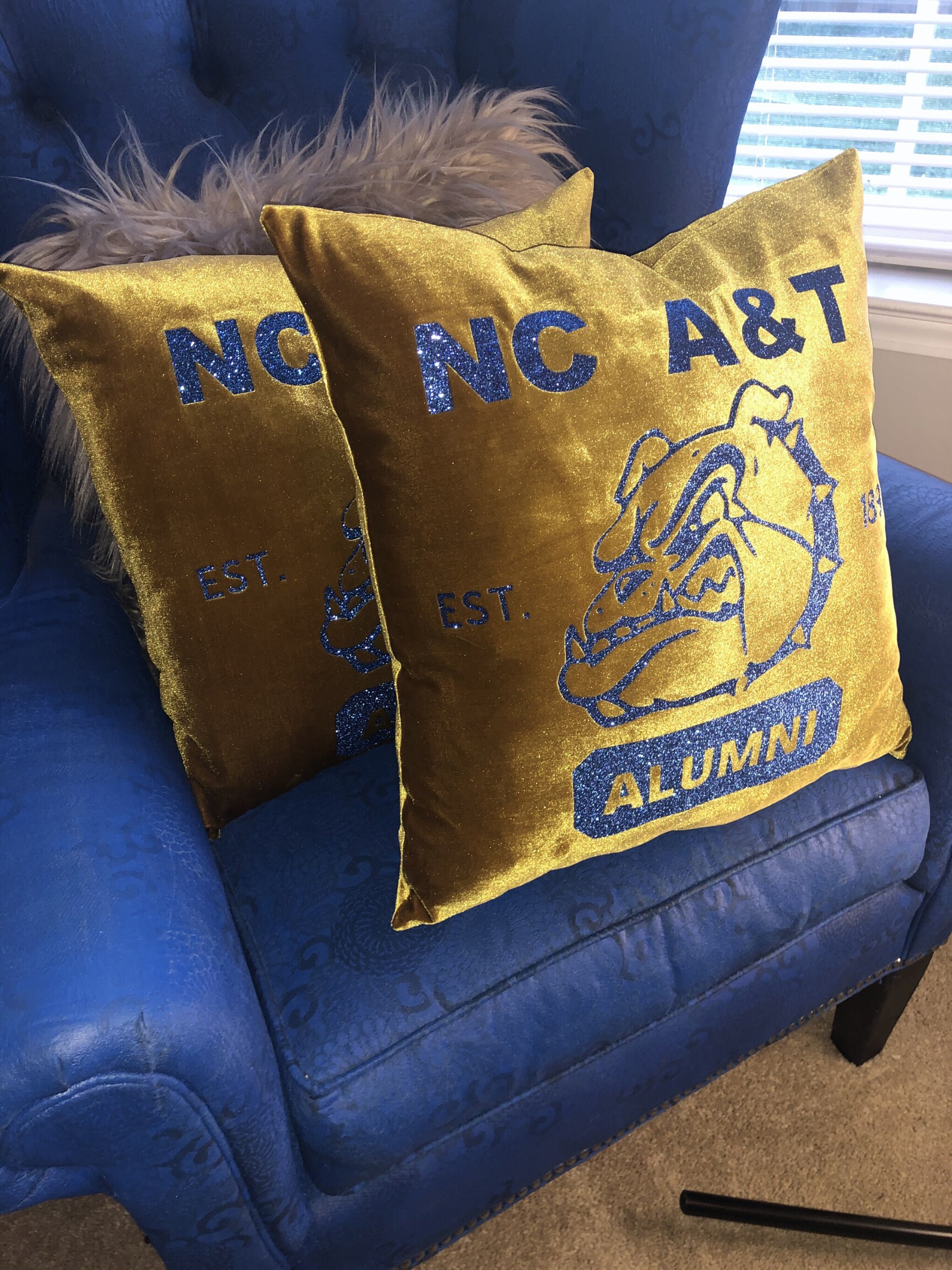 Custom School, College, University Velvet Pillow, Glitter Text, Custom ...