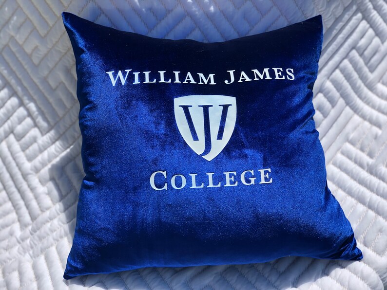 Custom School, College, University Velvet Pillow, Glitter Text, Custom ...
