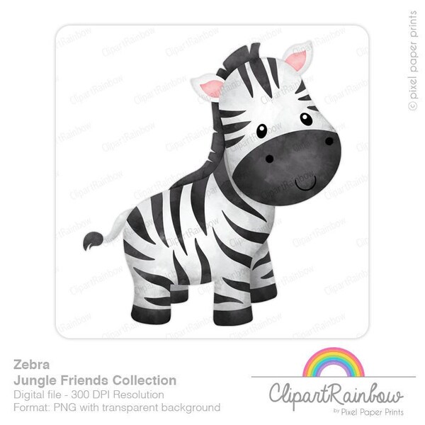 Zebra Clipart - Etsy