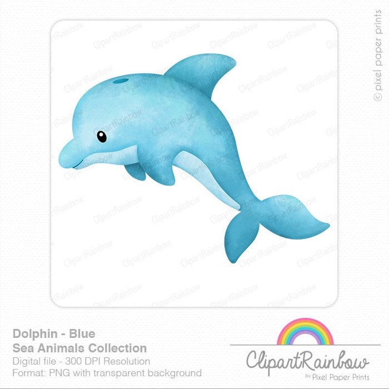 Dolphin Clipart - Etsy